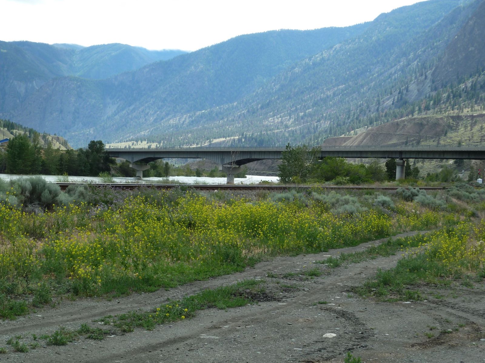 Brücken über die Thompson Rivers